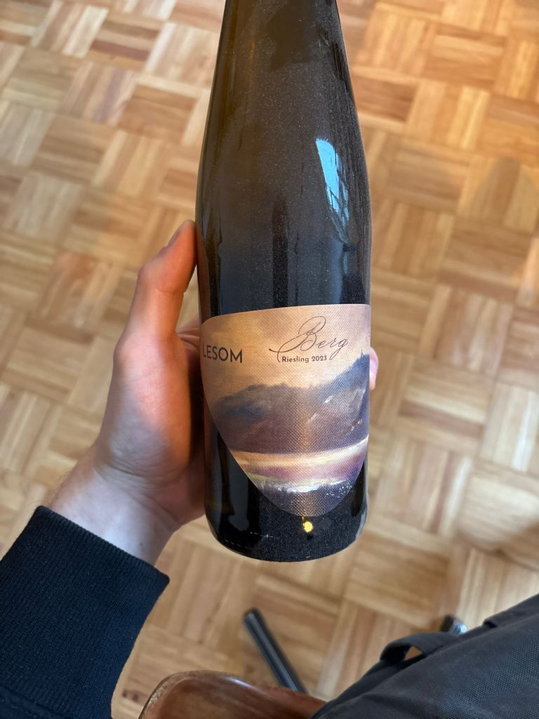 2022 Lesom Wein Riesling Berg trocken, Germany, Mosel Saar Ruwer ...