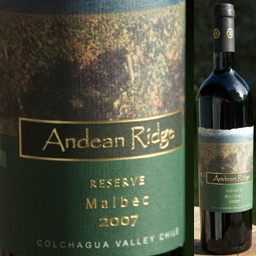 2008 Andean Ridge Malbec Reserve Viña Bisquertt Family Vineyards, Chile ...