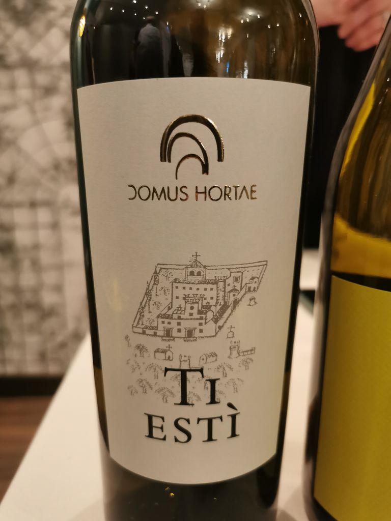 2021 Domus Hortae Fiano Ti Esti Puglia IGT, Italy, Puglia, Puglia IGT ...