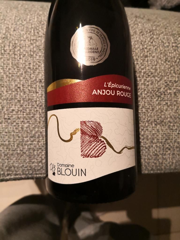 2019 Domaine Michel Blouin Anjou L'Ecupérienne, France, Loire Valley ...