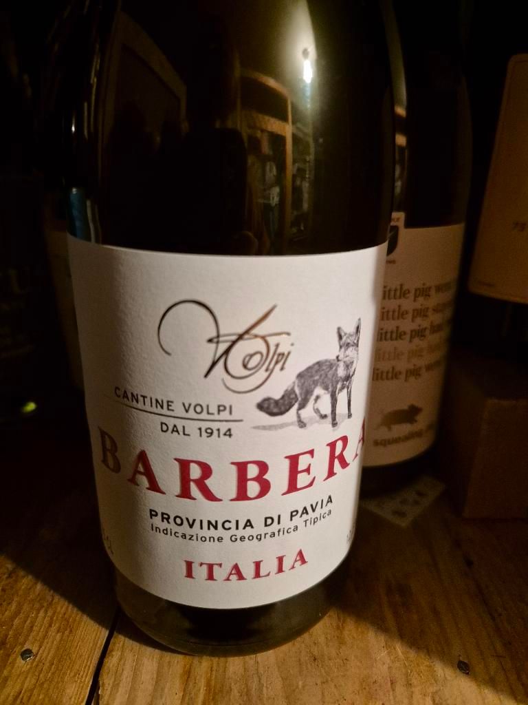 2023 Cantine Volpi Barbera Aurora, Italy, Piedmont, Piemonte DOC ...