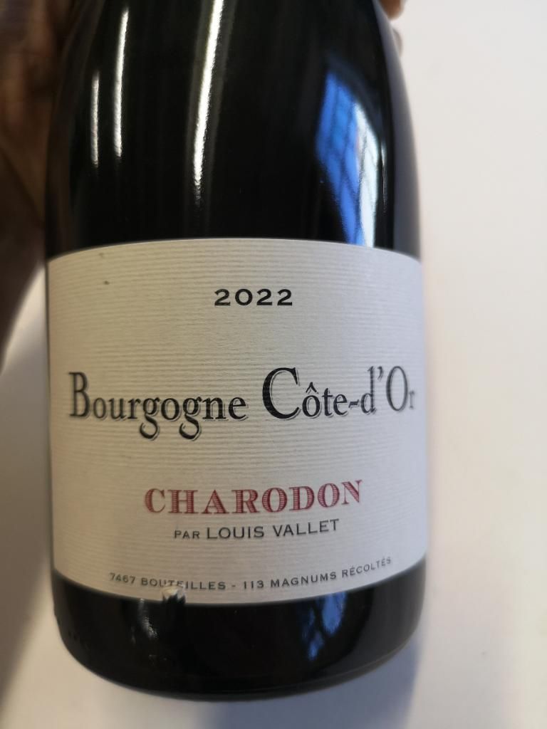 2022 Château de Charodon Bourgogne Côte d'Or, France, Burgundy ...