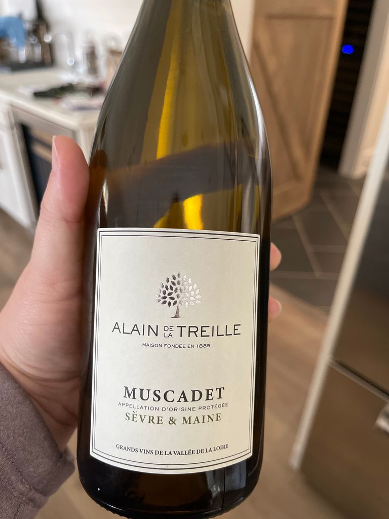 2020 Alain De La Treille Muscadet de Sèvre-et-Maine, France, Loire ...