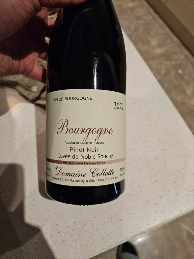 2022 Domaine Collotte Bourgogne Cuvée de Noble Souche, France, Burgundy ...