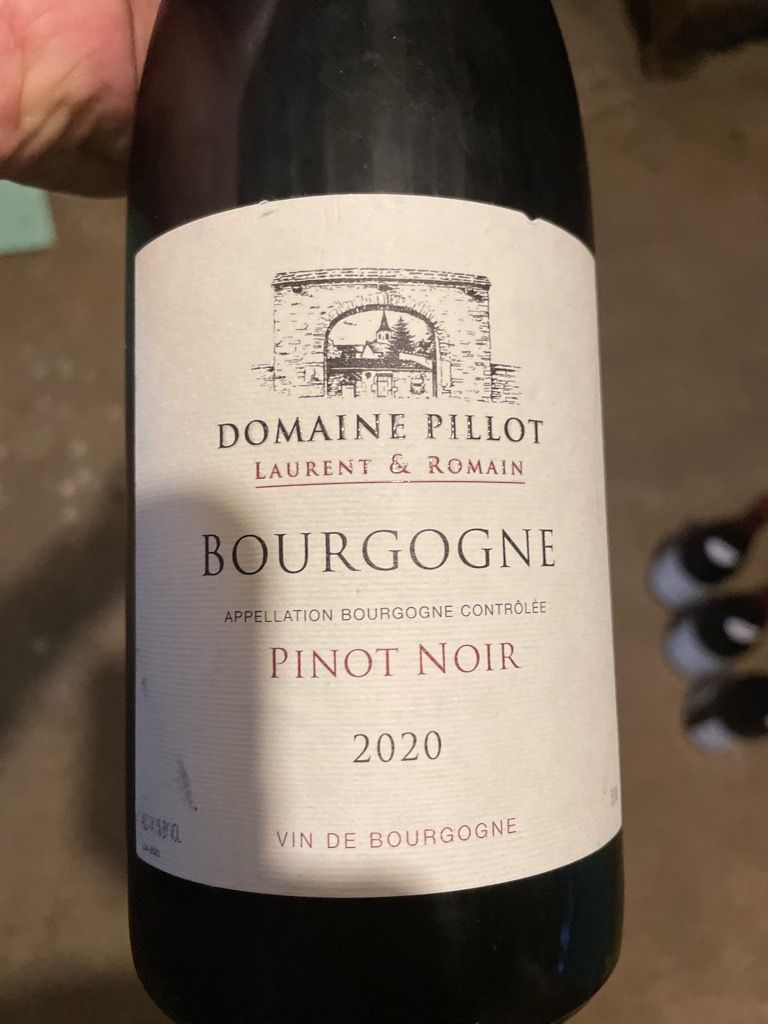 2021 Domaine Pillot (Laurent & Romain) Bourgogne Blanc, France ...