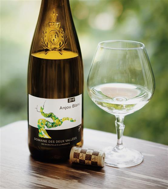 2017 Domaine des Deux Vallées Anjou Clos de la Casse, France, Loire ...