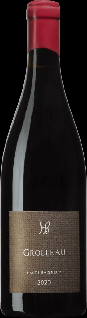 2020 Domaine des Hauts Baigneux Grolleau, France, Vin de France - CellarTracker