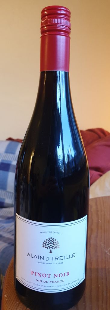 2020 Alain De La Treille Pinot Noir, France, Loire Valley, Vin de ...
