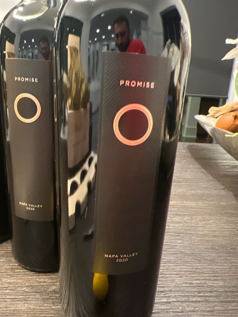 2020 Promise Cabernet Sauvignon, USA, California, Napa Valley ...