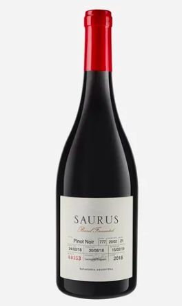 2020 Bodega Familia Schroeder Pinot Noir Saurus Barrel Fermented ...