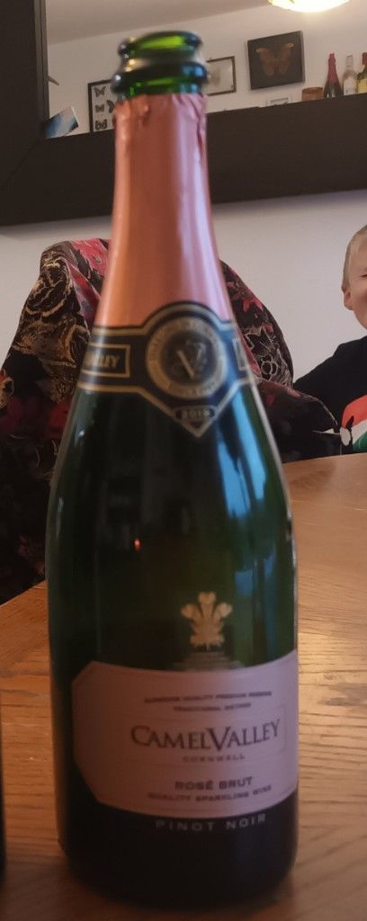 2020 Camel Valley Pinot Noir Brut Rosé, United Kingdom, England, South ...