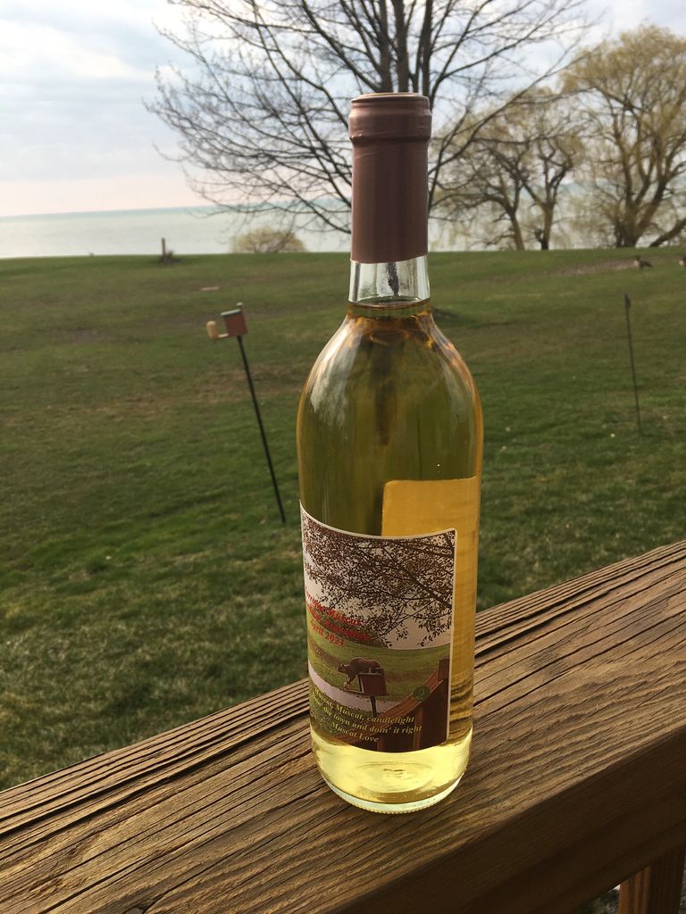 2021 Wine Expert Muscat Torrontes Muscat, Argentina, Mendoza ...