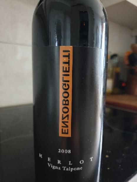 2008 Enzo Boglietti Langhe Merlot Vigna Talpone, Italy, Piedmont ...