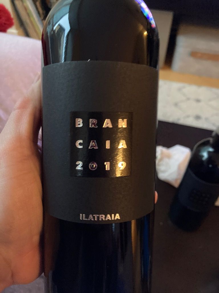 2019 Brancaia Ilatraia, Italy, Tuscany, Maremma, Maremma Toscana ...