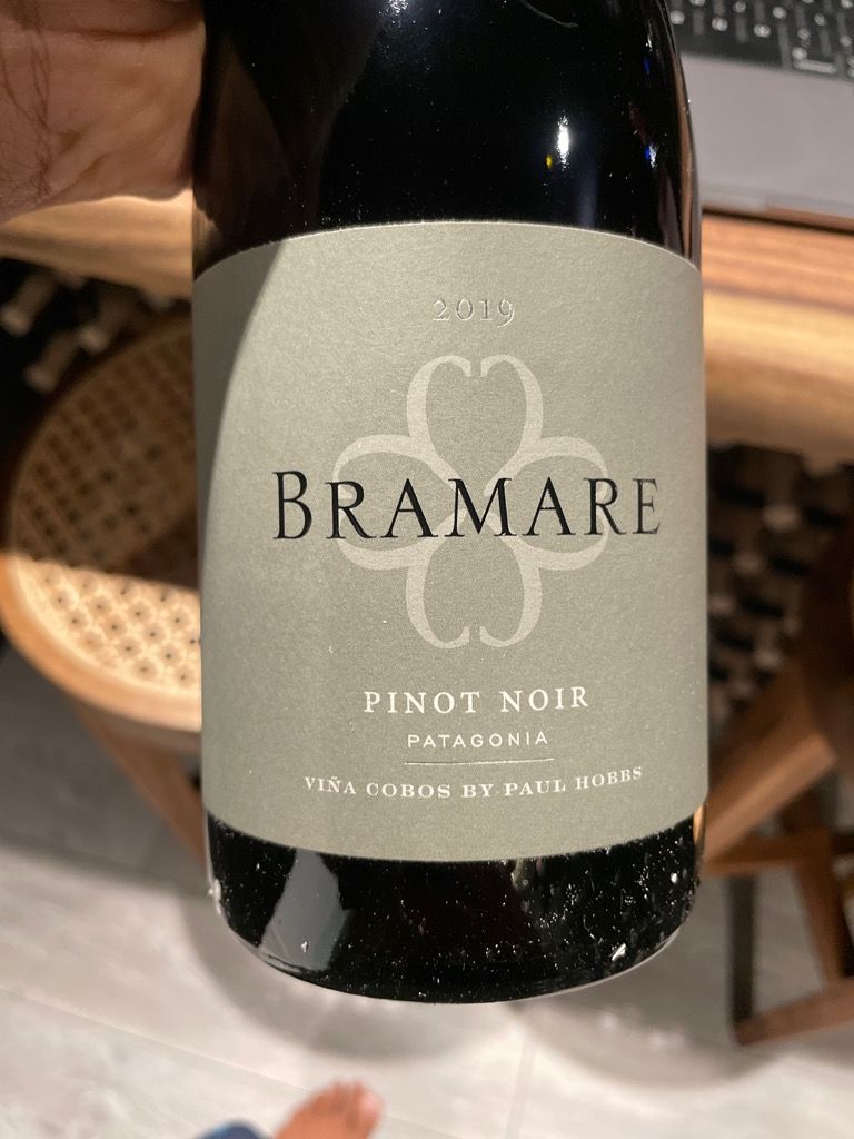 2020 Viña Cobos Pinot Noir Bramare, Argentina, Mendoza, Valle de Uco ...