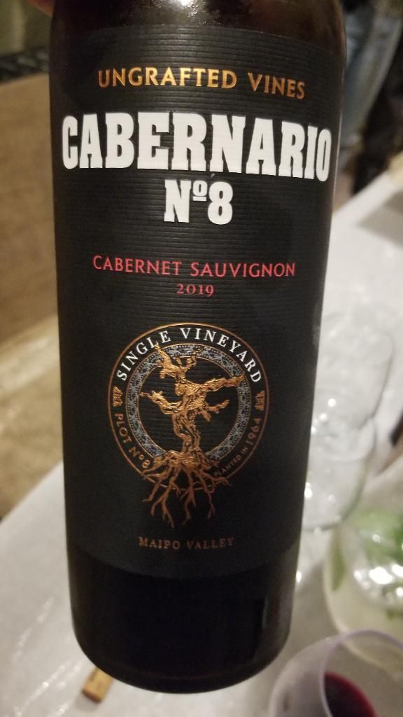 2020 Cabernario N 8 Cabernet Sauvignon Ungrafted vines, Chile, Maipo ...