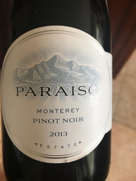 2013 Paraiso Vineyards Pinot Noir, USA, California, Central Coast ...
