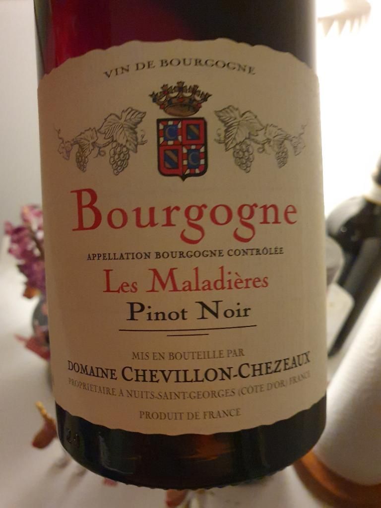 2019 Domaine Chevillon-Chezeaux Bourgogne Les Maladières, France ...