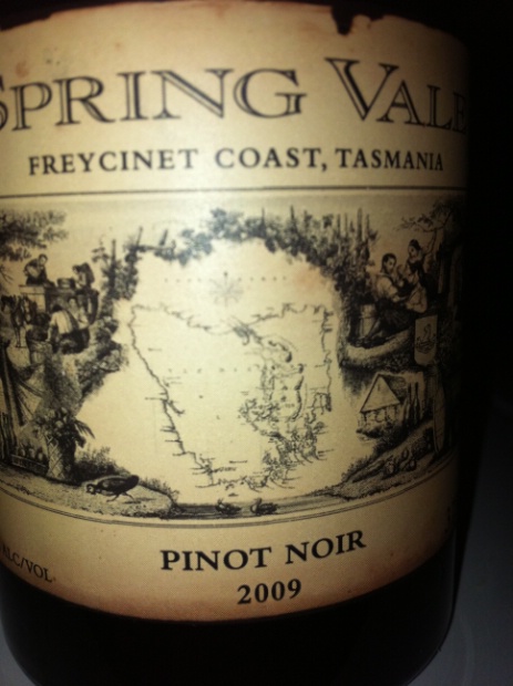 2009 Spring Vale Pinot Noir, Australia, Tasmania, Freycinet Coast ...