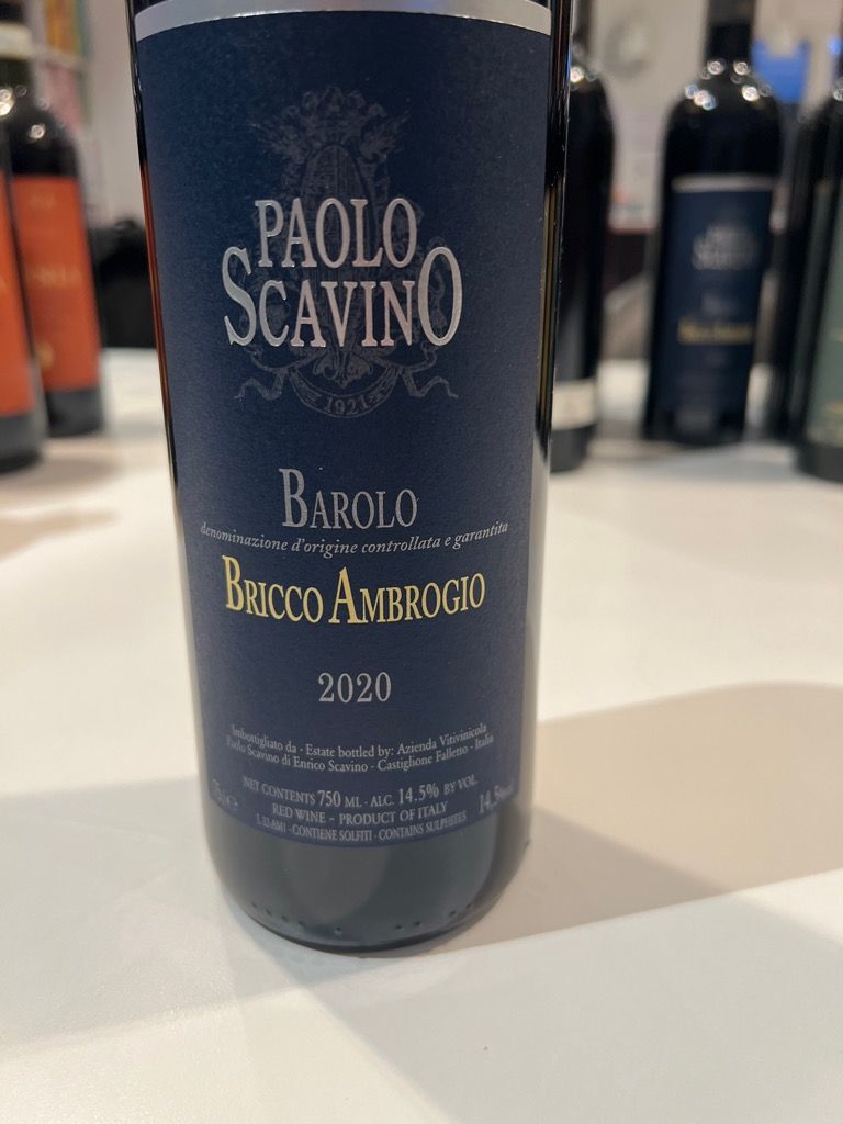 2020 Paolo Scavino Barolo Bricco Ambrogio, Italy, Piedmont, Langhe ...