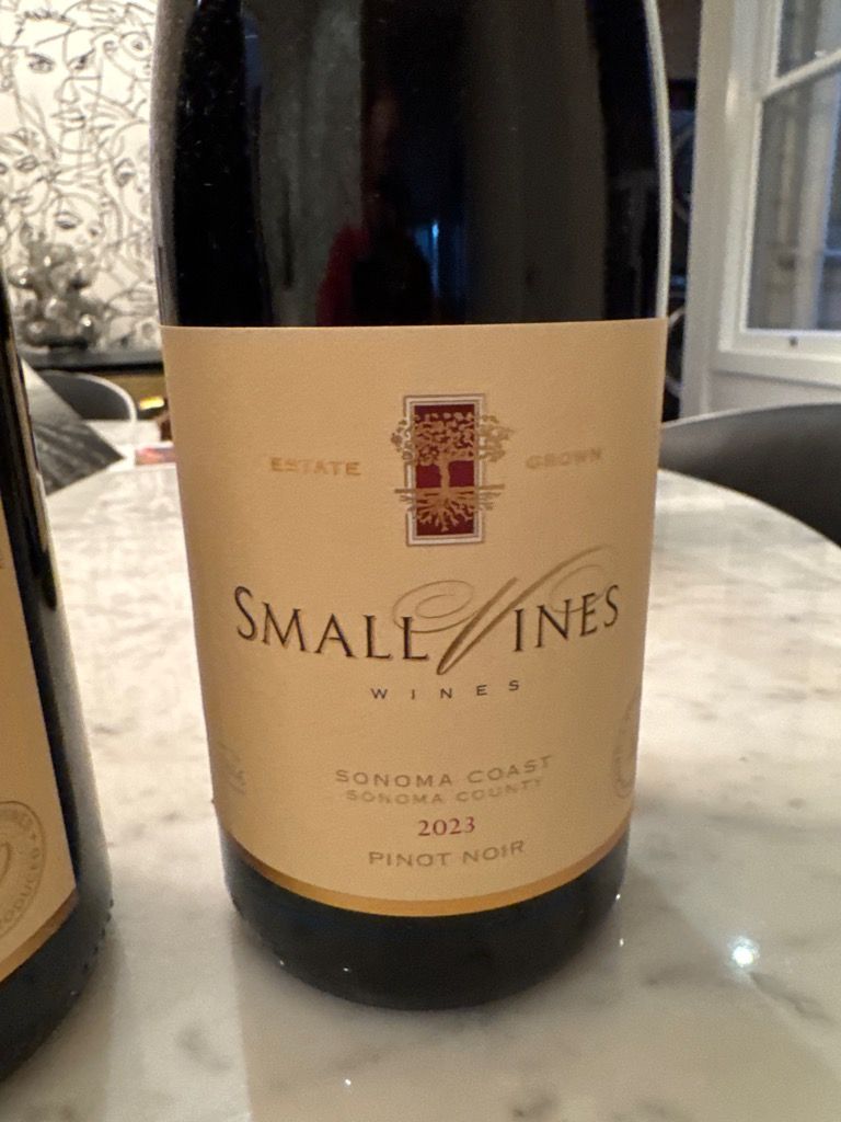2023 Small Vines Wines Pinot Noir Sonoma Coast, USA, California, Sonoma ...