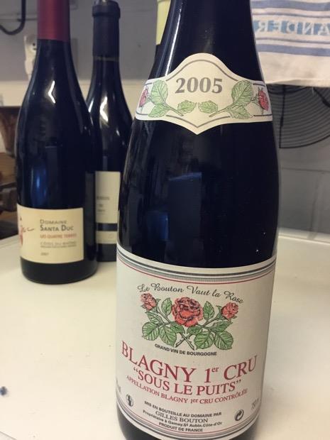 2013 Gilles Bouton Blagny 1er Cru Sous les Puits Rouge, France ...