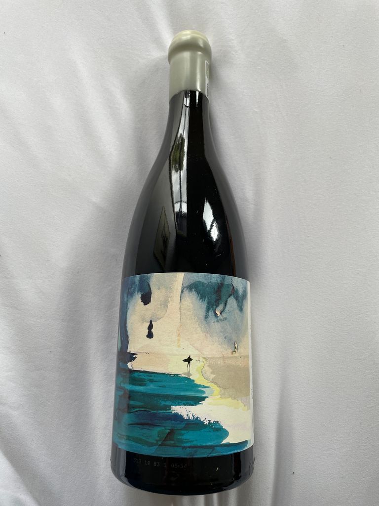 2021 Trizanne Signature Wines Chardonnay Onderduivenshokrivier, South ...