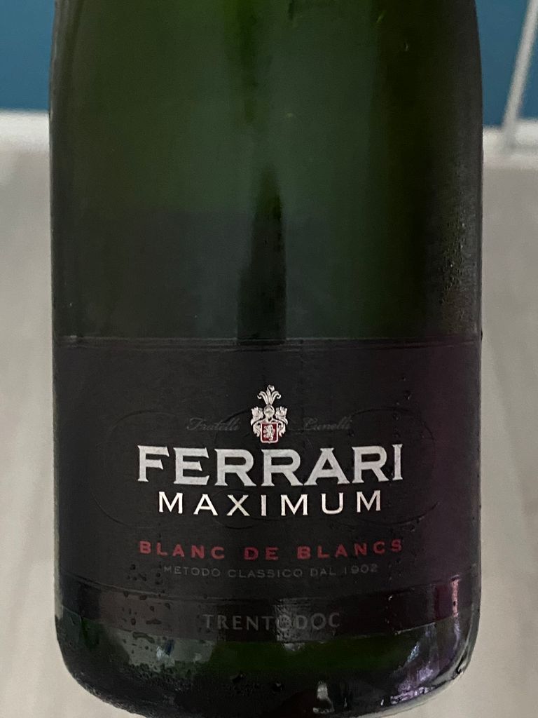 NV Ferrari Maximum Brut, Italy, Trentino-Alto Adige, Trentino, Trento ...