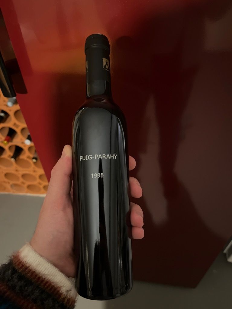 2001 Domaine Puig Parahÿ Rivesaltes, France, Languedoc Roussillon ...