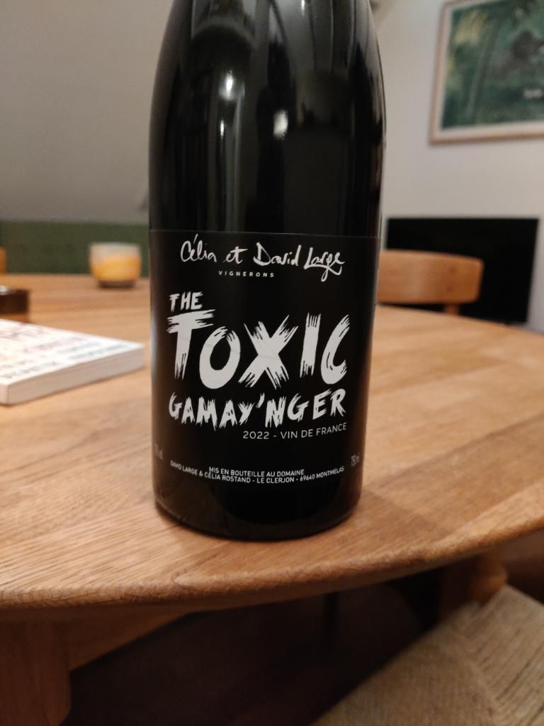 2022 David Large The Toxic Gamay'enger, France, Vin de France ...