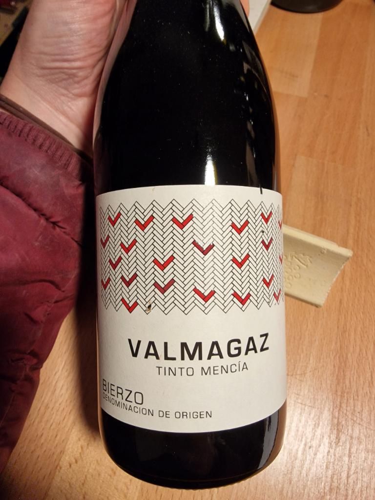 2020 Vinos del Bierzo Bierzo Valmagaz, Spain, Castilla y León, Bierzo ...