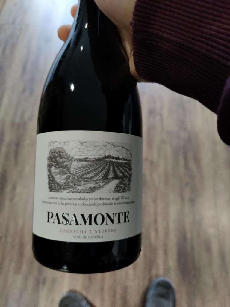2019 Vegalfaro Utiel-Requena Pasamonte garnacha tintorera, Spain ...