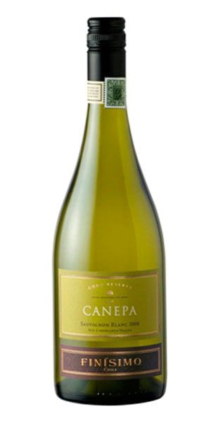 2009 Canepa Sauvignon Blanc Finisimo, Chile, Maipo Valley - CellarTracker