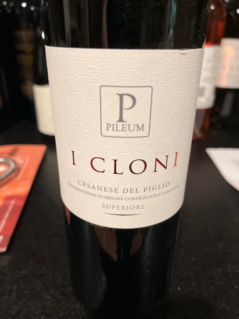 2022 Pileum Cesanese del Piglio Superiore I Cloni, Italy, Latium ...