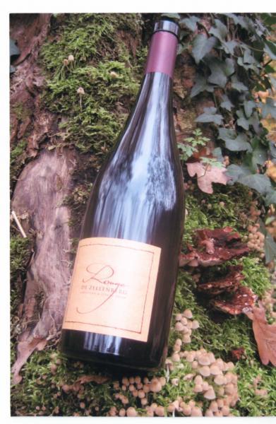 2016 Eblin-Fuchs Pinot Noir Sonnenglanz Moréote, France, Alsace ...