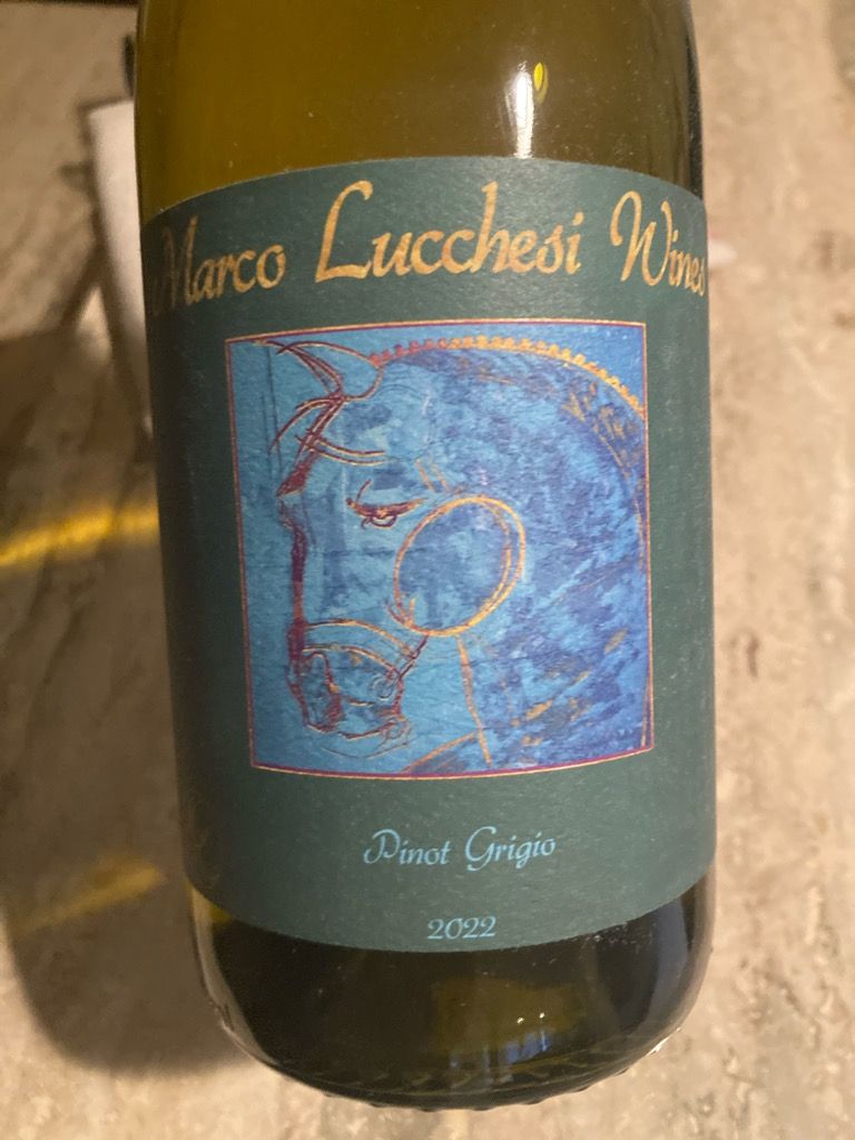 2022 Section Wines Pinot Grigio Marco Lucchesi, USA, California ...