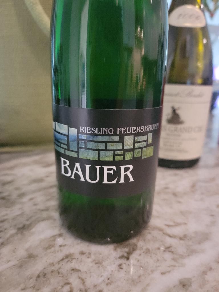 2021 Josef Bauer Riesling Feuersbrunner Losling, Austria ...