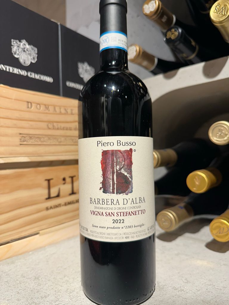 2022 Piero Busso Barbera d'Alba Stefanetto, Italy, Piedmont, Alba ...