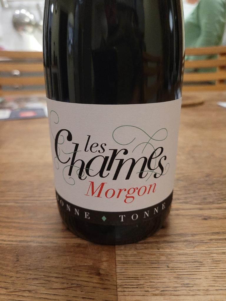 2022 Domaine de la Bonne Tonne Morgon Les Charmes, France, Burgundy ...