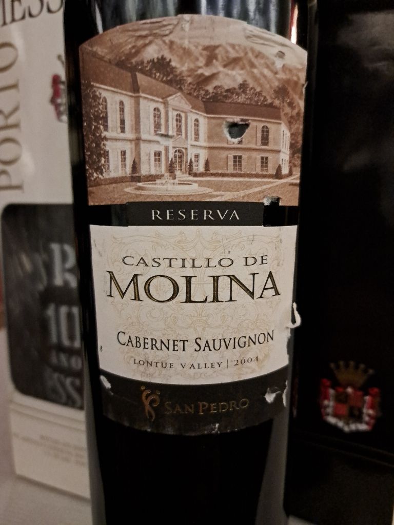 2004 Castillo de Molina Cabernet Sauvignon, Chile, Rapel Valley ...