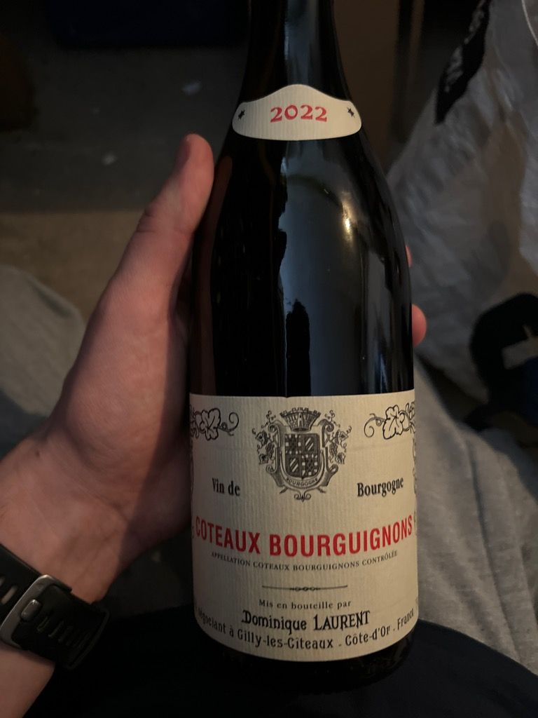 2022 Dominique Laurent Coteaux Bourguignons, France, Burgundy, Coteaux ...