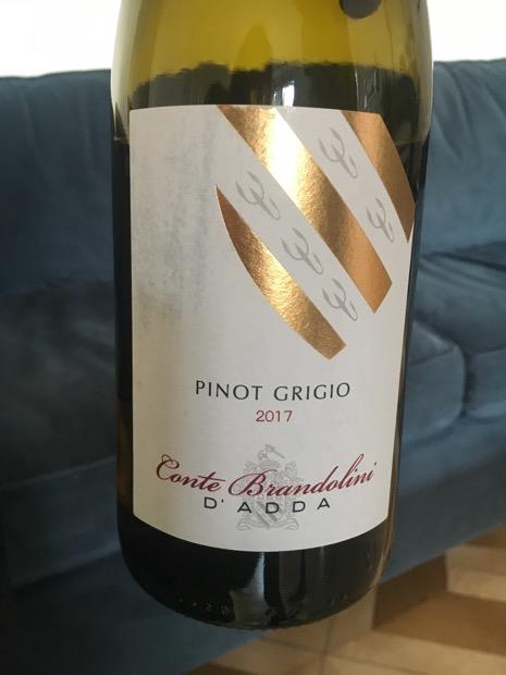 2015 Conte Brandolini d'Adda Pinot Grigio, Italy, Friuli-Venezia Giulia ...