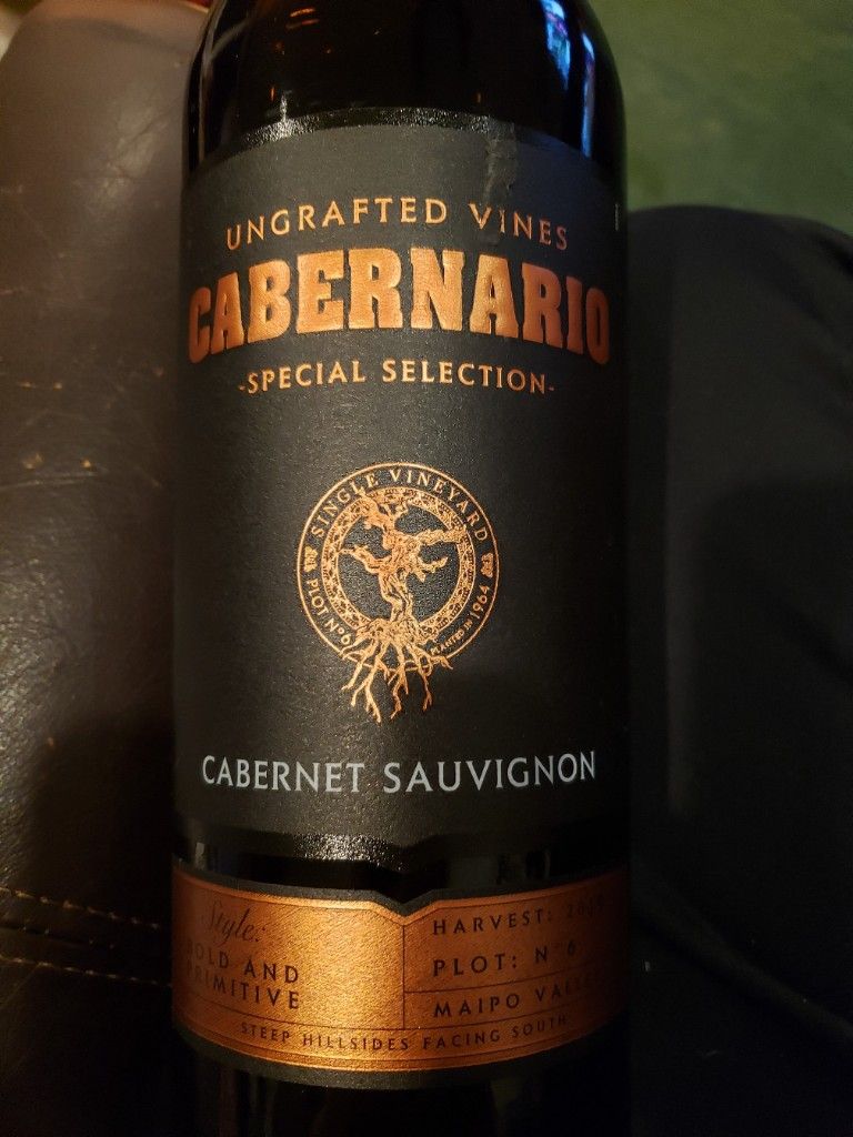 2019 Vina Sur Andino Cabernet Sauvignon Cabernario Special Selection Ungrafted Vines, Chile ...