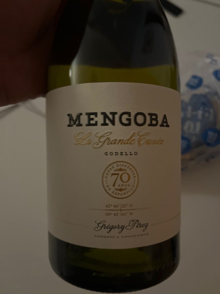 2019 Bodegas y Viñedos Mengoba Godello Bierzo La Grande Cuvée, Spain ...