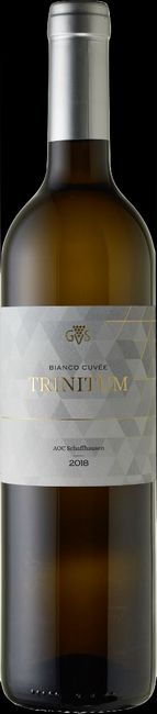 2019 GVS Schachenmann TRINITUM, Switzerland, Eastern Switzerland ...