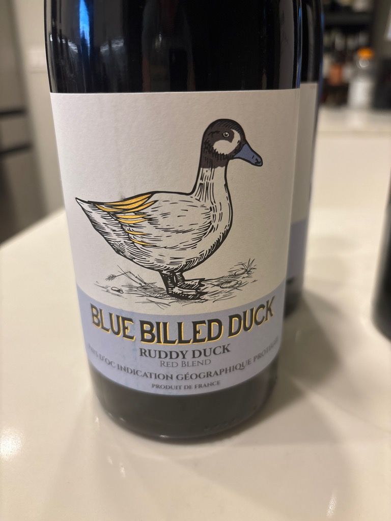 2018 Blue Billed Duck Ruddy Duck, France, Languedoc Roussillon, Vin de ...