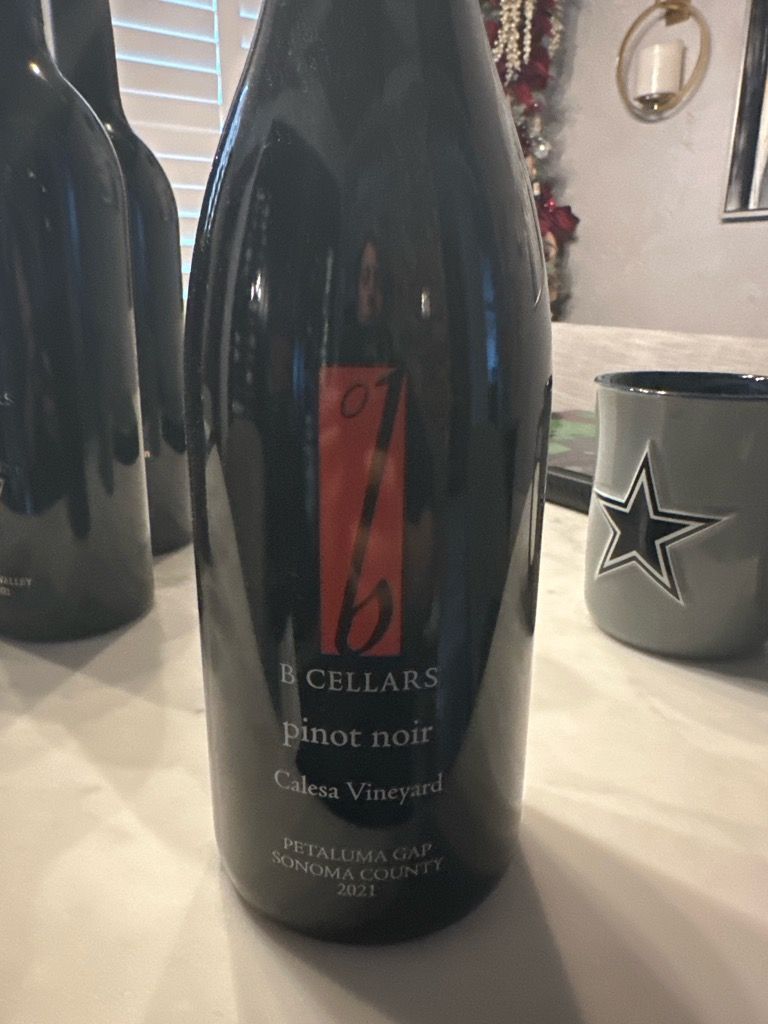 2021 B Cellars Pinot Noir Calesa Vineyard, USA, California, Sonoma ...