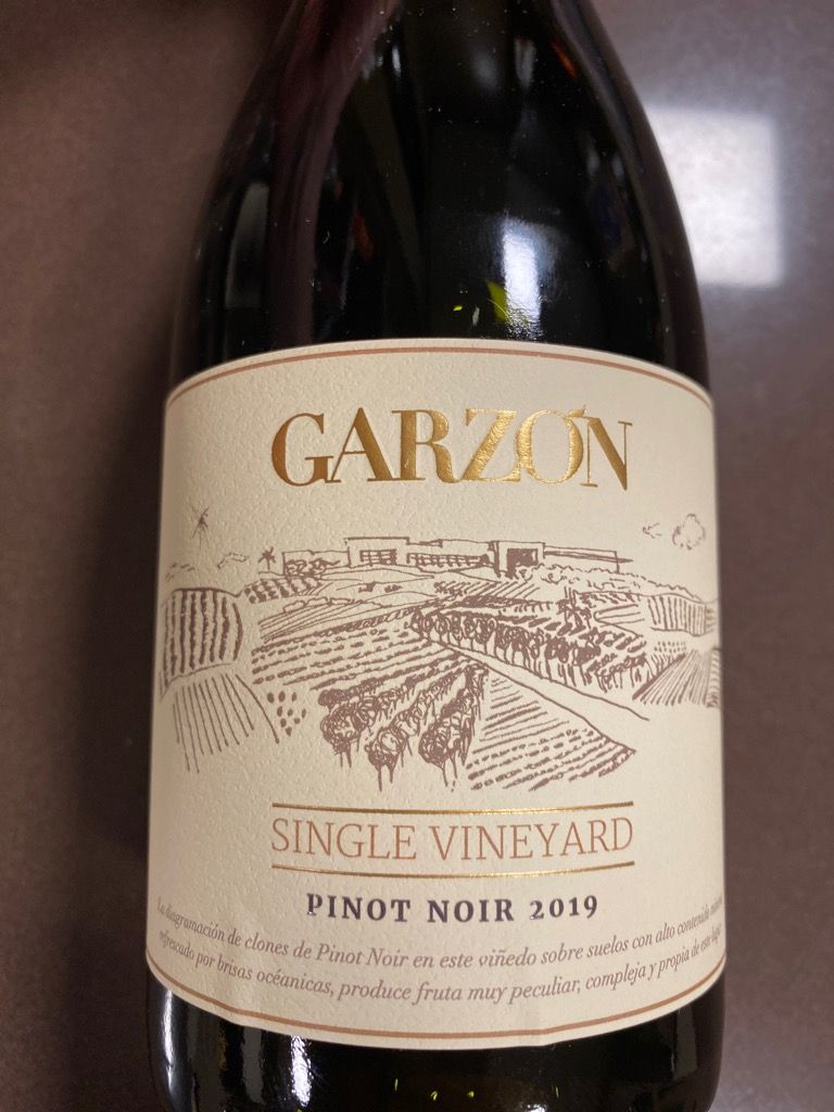 2020 Bodega Garzón Pinot Noir Single Vineyard, Uruguay, Maldonado ...