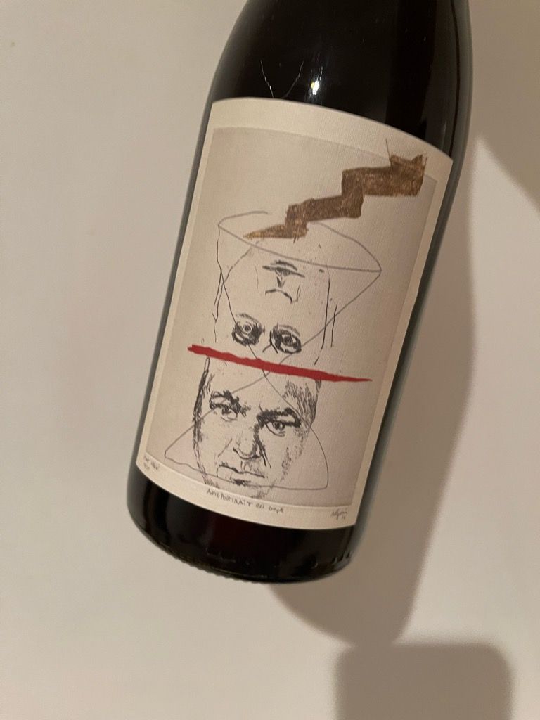 2021 Pinard & Filles Gamay Autoportrait En Gamay, Canada, Quebec ...