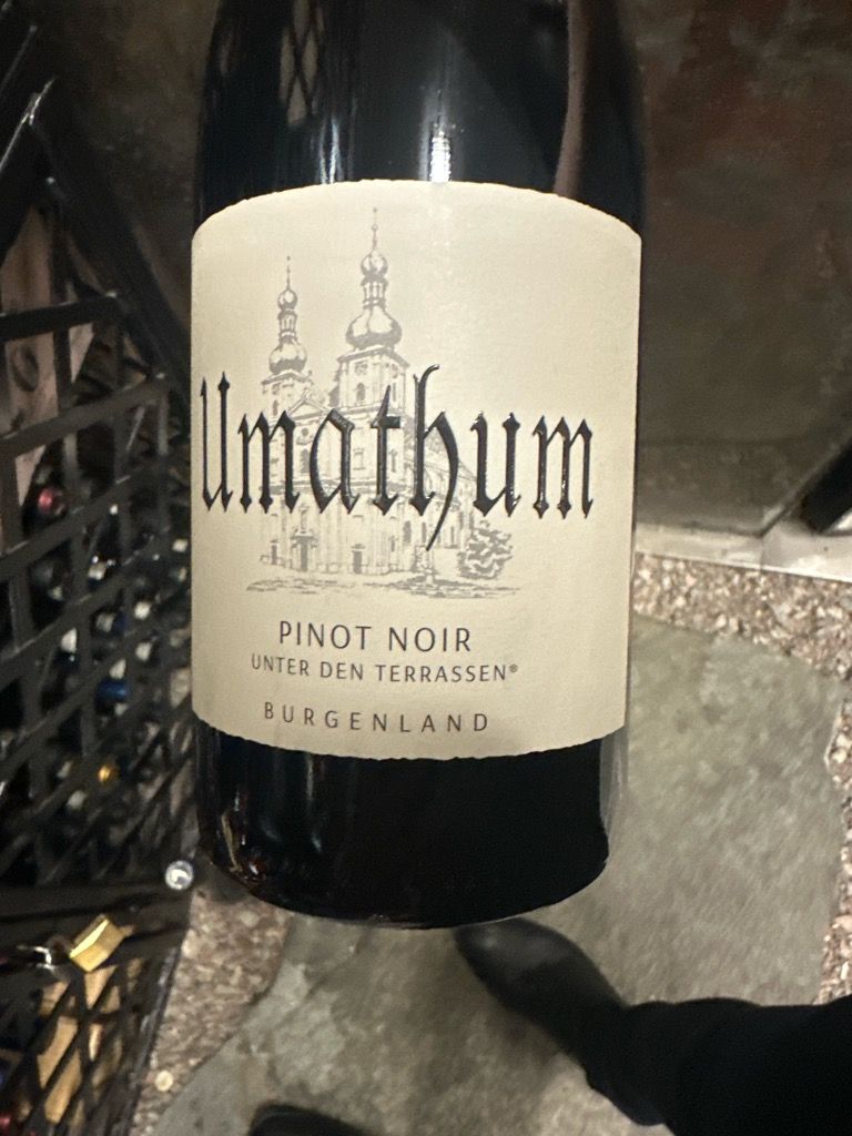 2023 Umathum Pinot Noir Unter den Terrassen, Austria, Burgenland ...